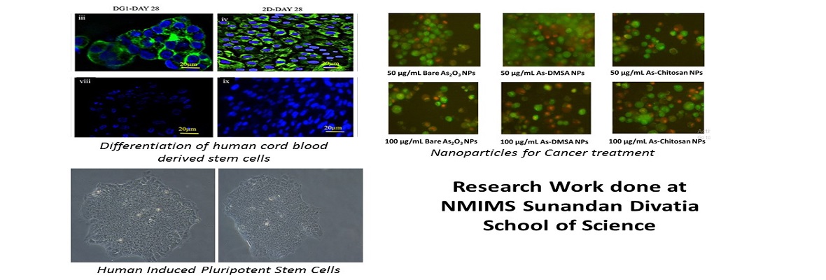 Top Science College in India | NMIMS | School of Science|PostGraduate & Doctoral Programs
