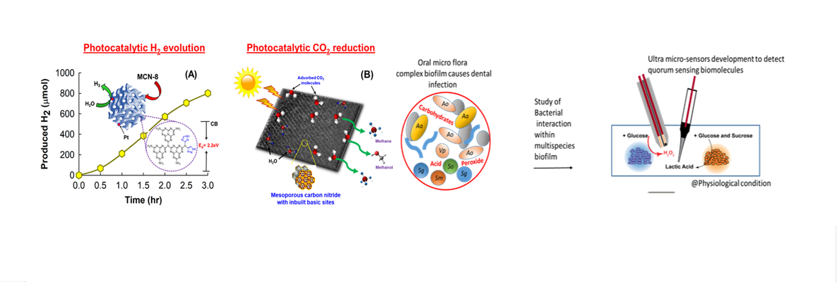 Top Science College in India | NMIMS | School of Science|PostGraduate ...